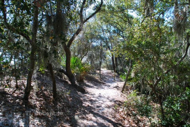 Water logged – Thin spiral notebook