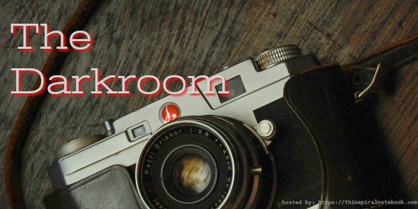The Darkroom Prompts – Thin spiral notebook