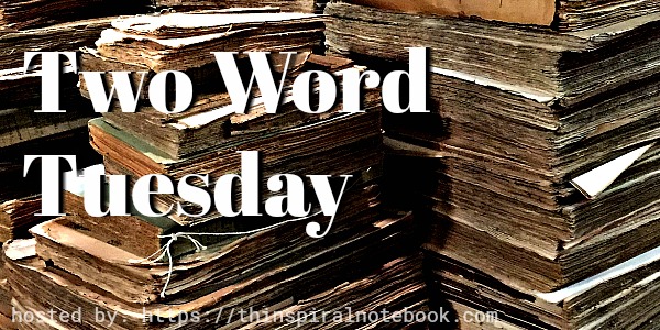 Two Word Tuesday Prompts – Thin spiral notebook