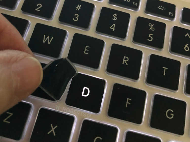 100 Word Challenge: D minus – Thin spiral notebook